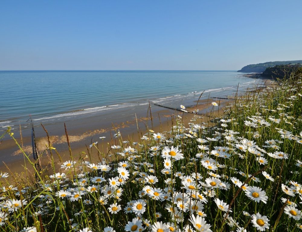 Shanklin Traditional Old Village - Luccombe Hall Hotel